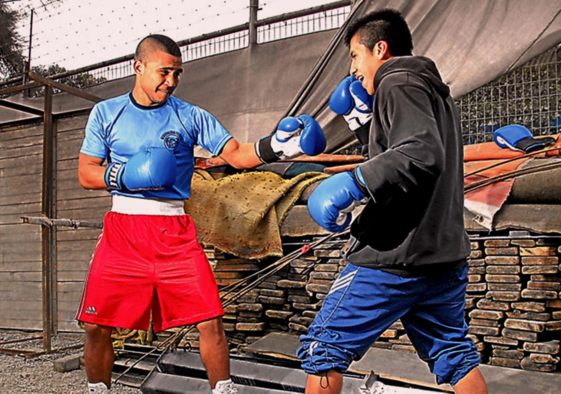 Boxeadores peruanos competirán en Cuba preparándose para Juegos ...