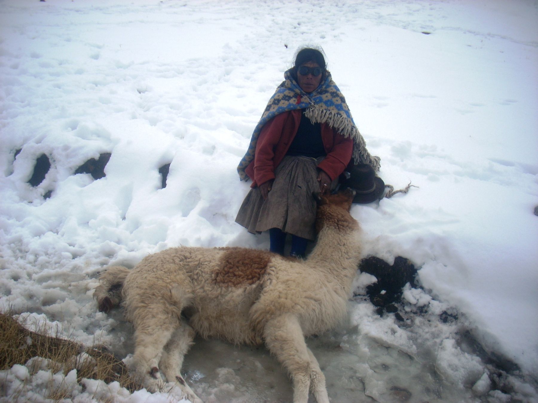 Indeci: 83 mil personas afectadas deja heladas en ocho departamentos ...