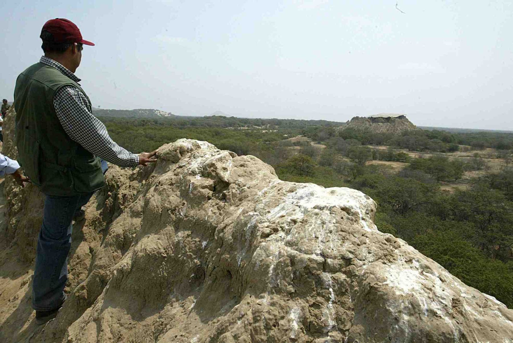 Culminan instalaciones turísticas en el Santuario Histórico de Pómac ...