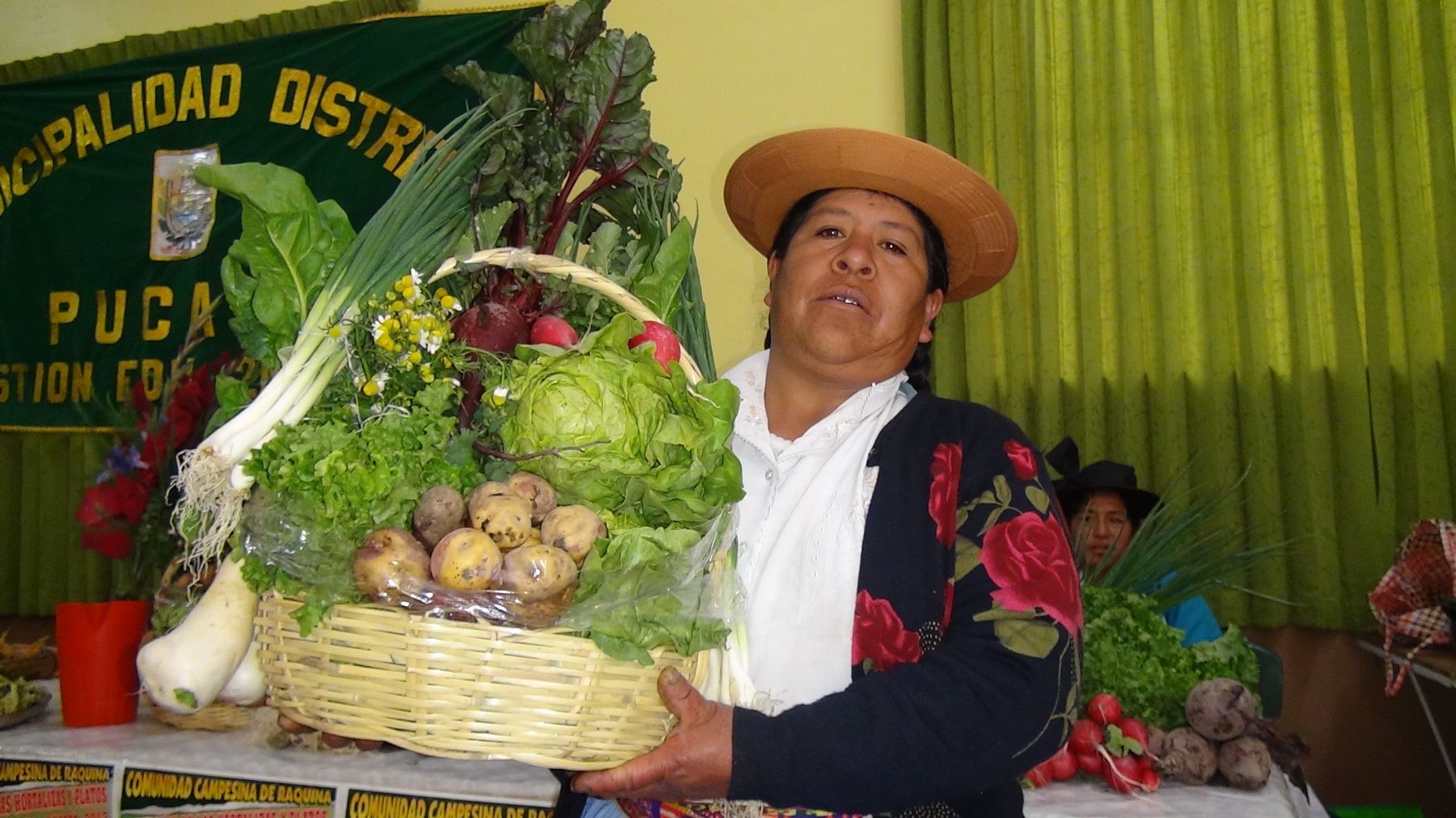 Presentarán ensalada ecológica en Feria de las Hortalizas de Pucará ...