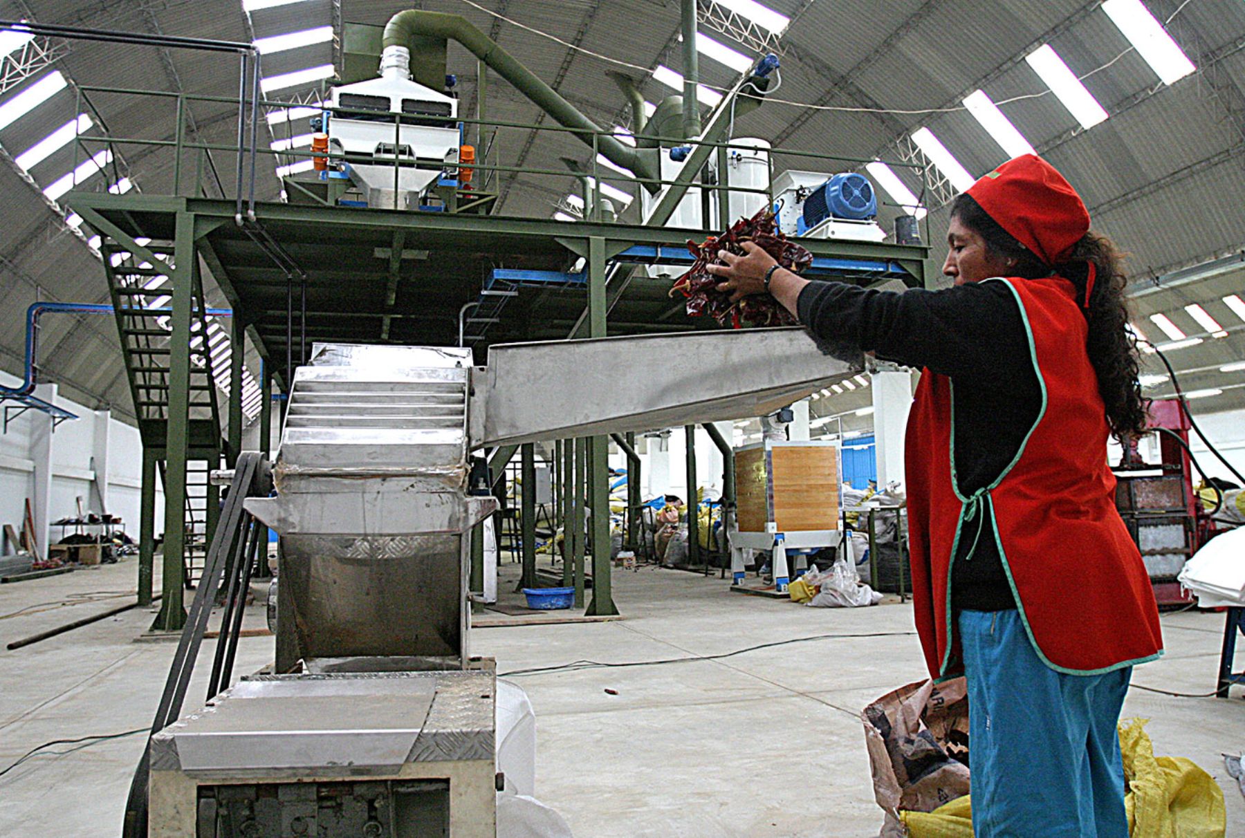 Producción de páprika creció en Piura y La Libertad en 58% y 18% en el ...