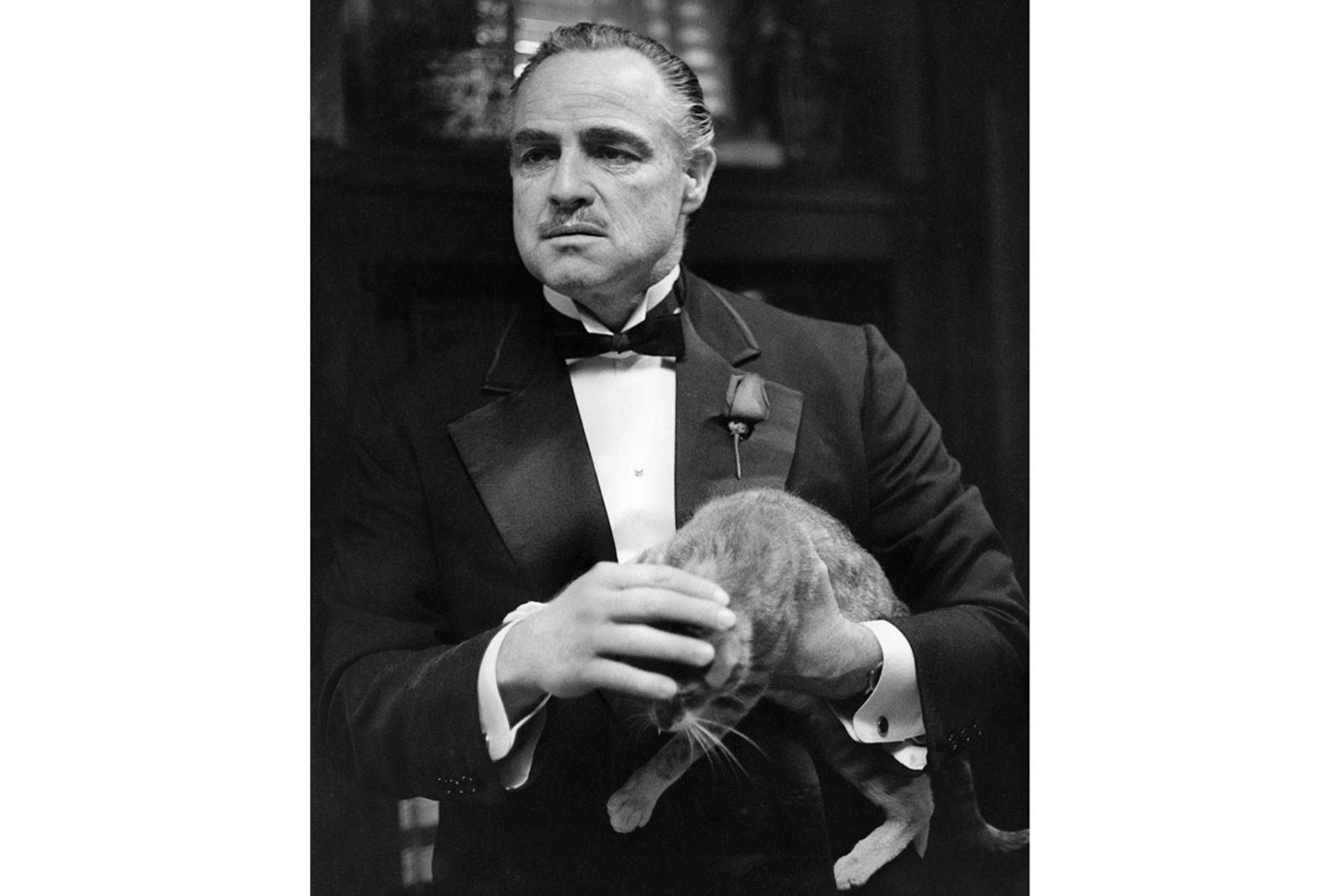 Hace 90 años nacía un mito llamado Marlon Brando | News | ANDINA - Peru ...