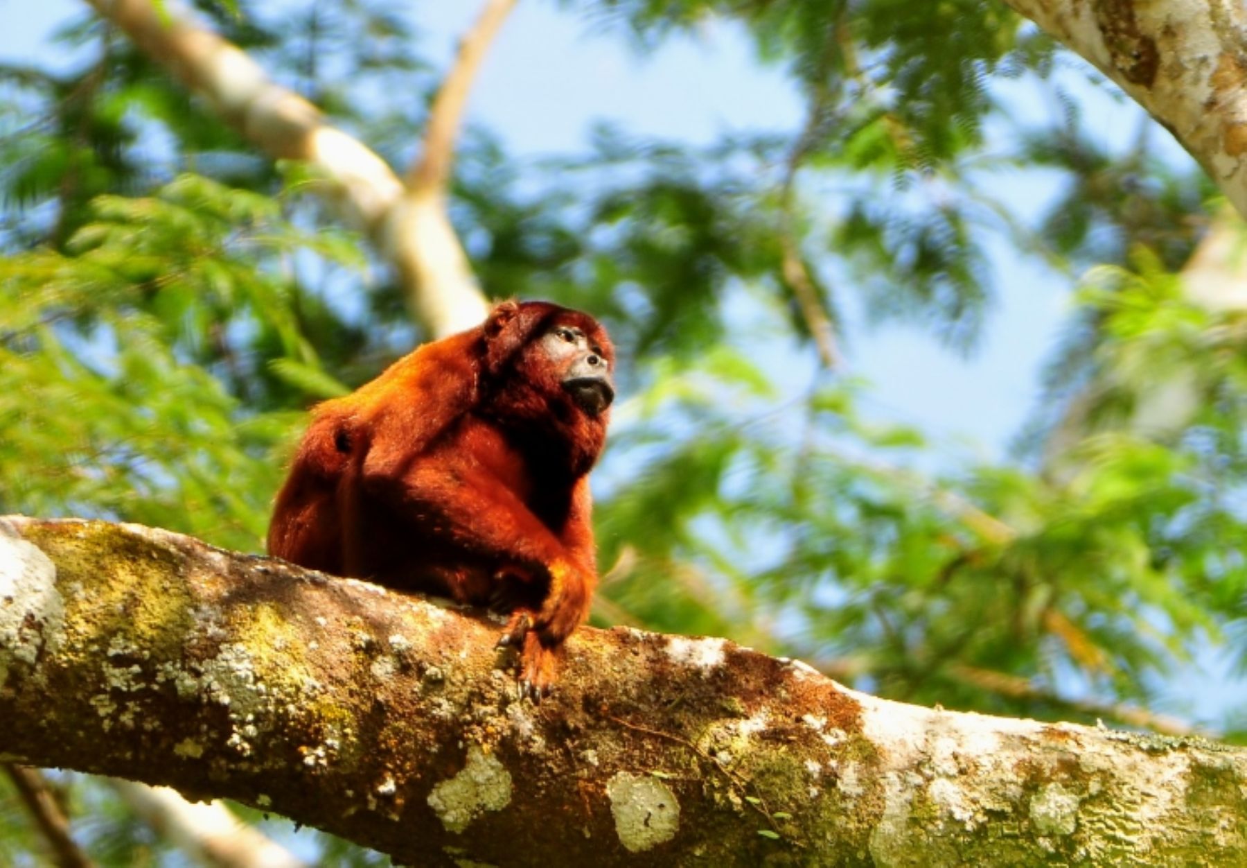 Con gran expectativa se presentó el Plan Maestro del Parque Nacional ...