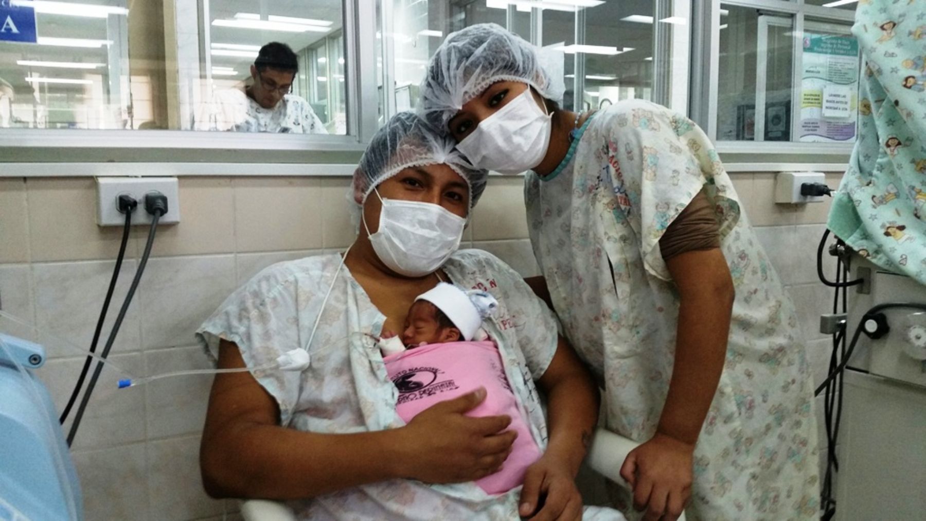 Canguro Con Su Bebe