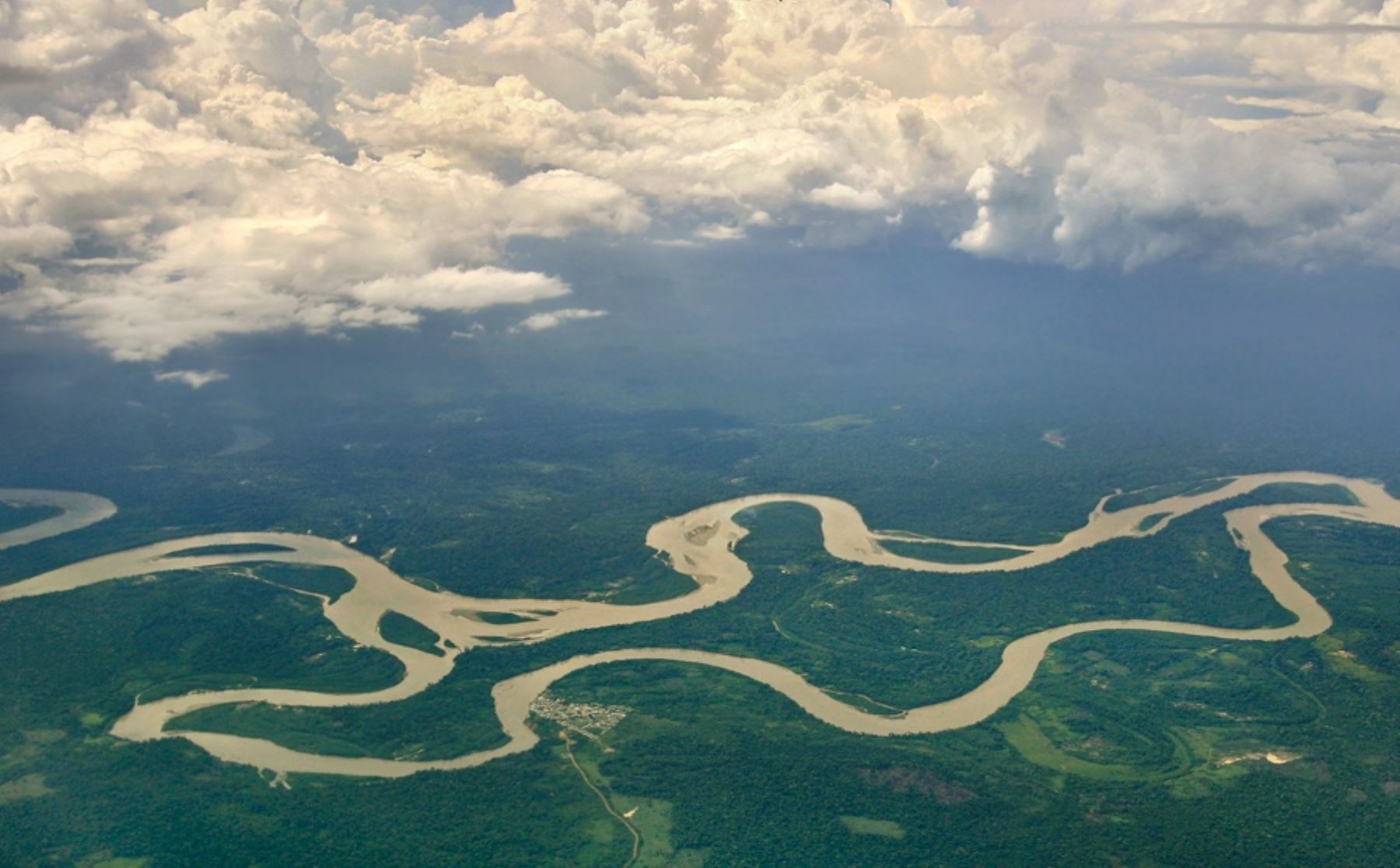 Presentan Sistema de Monitoreo satelital de la tala y deforestación ...