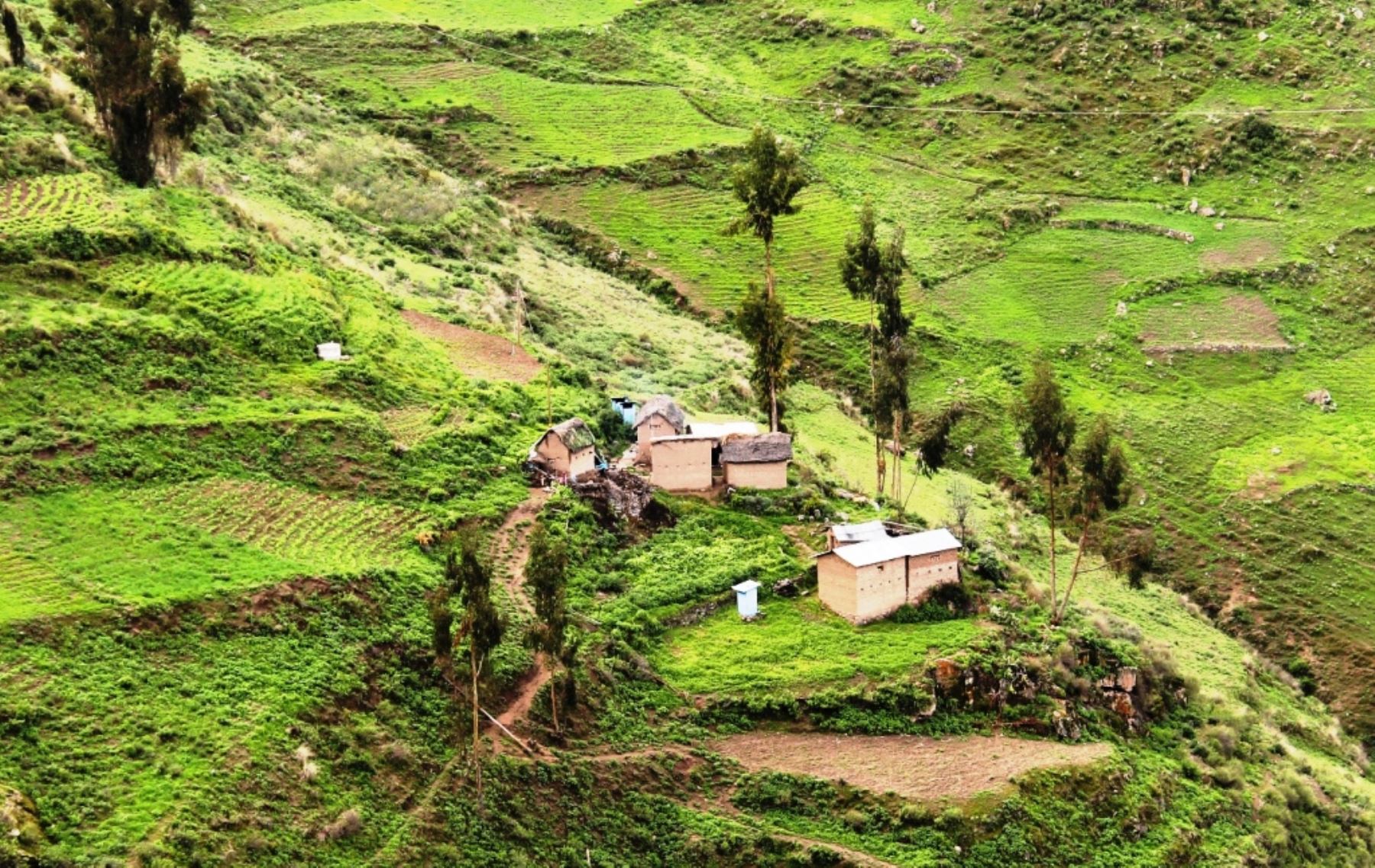 Haku Wiñay amplía su intervención en localidades de la Región Lima ...