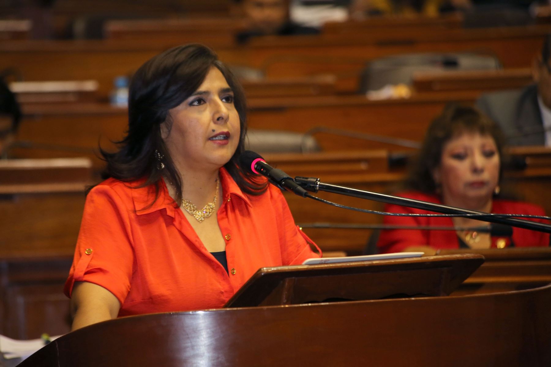 Ana Jara confía en que Cateriano promoverá modernización de la DINI ...