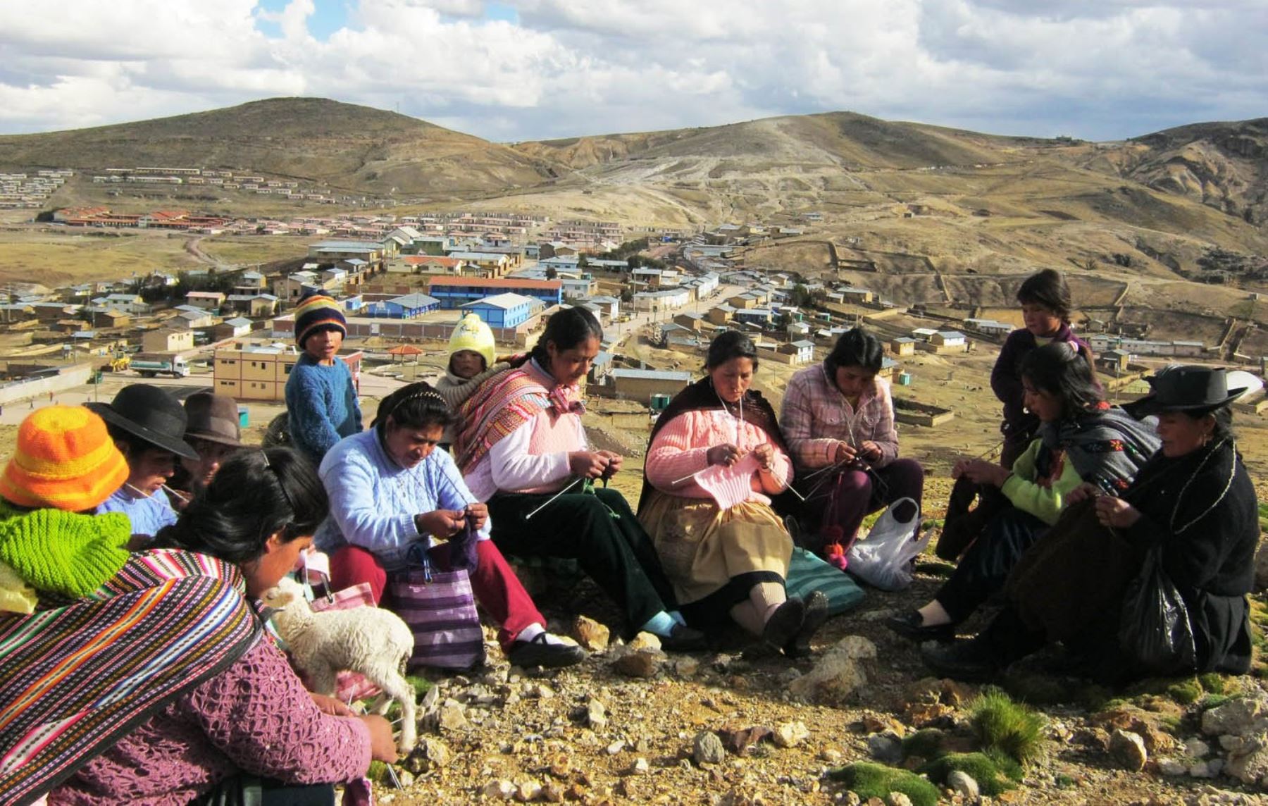 Peruvian Alpaca breeders export fiber to Italy | News | ANDINA - Peru ...