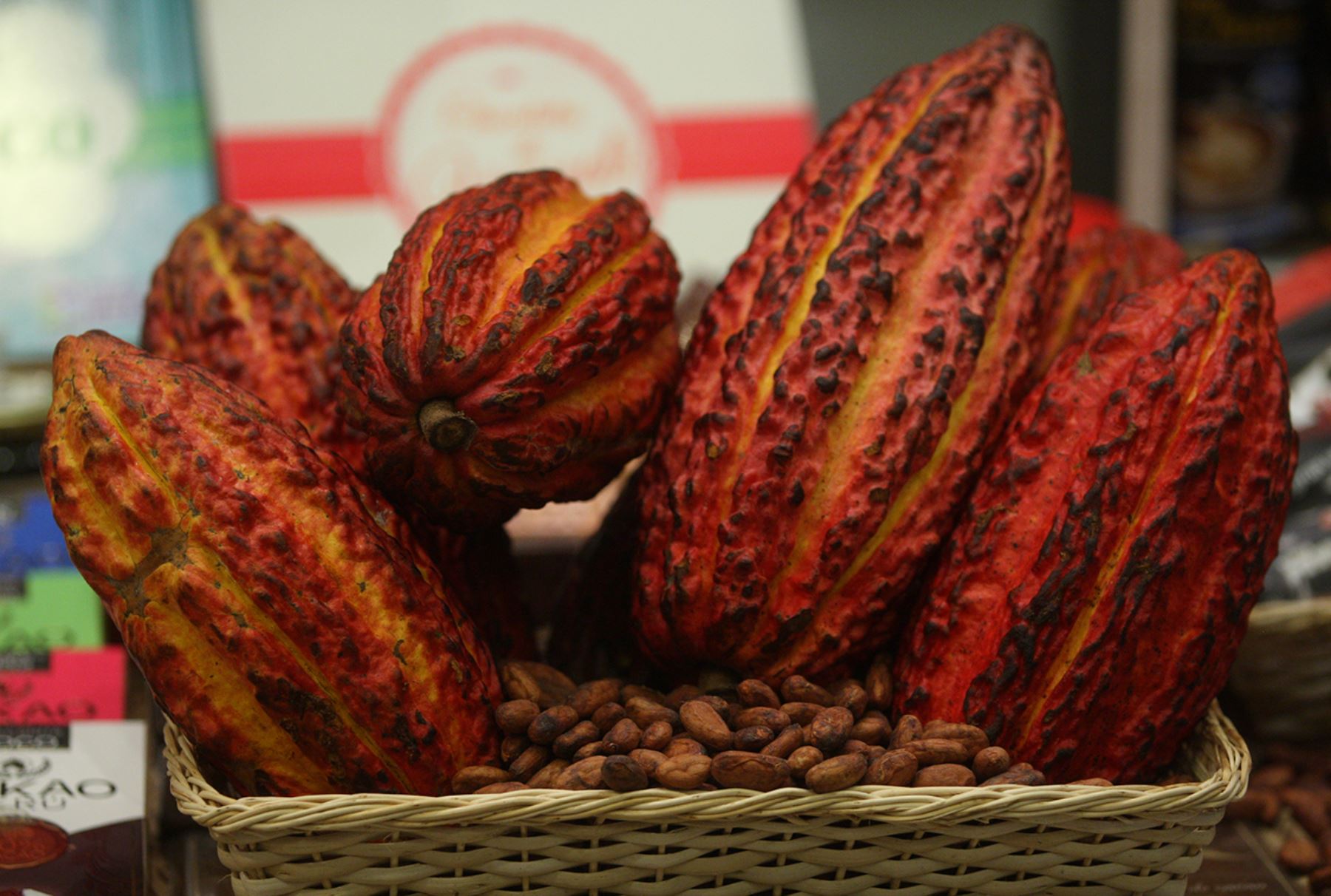 Crece industria peruana del chocolate fino y de aroma | Noticias ...