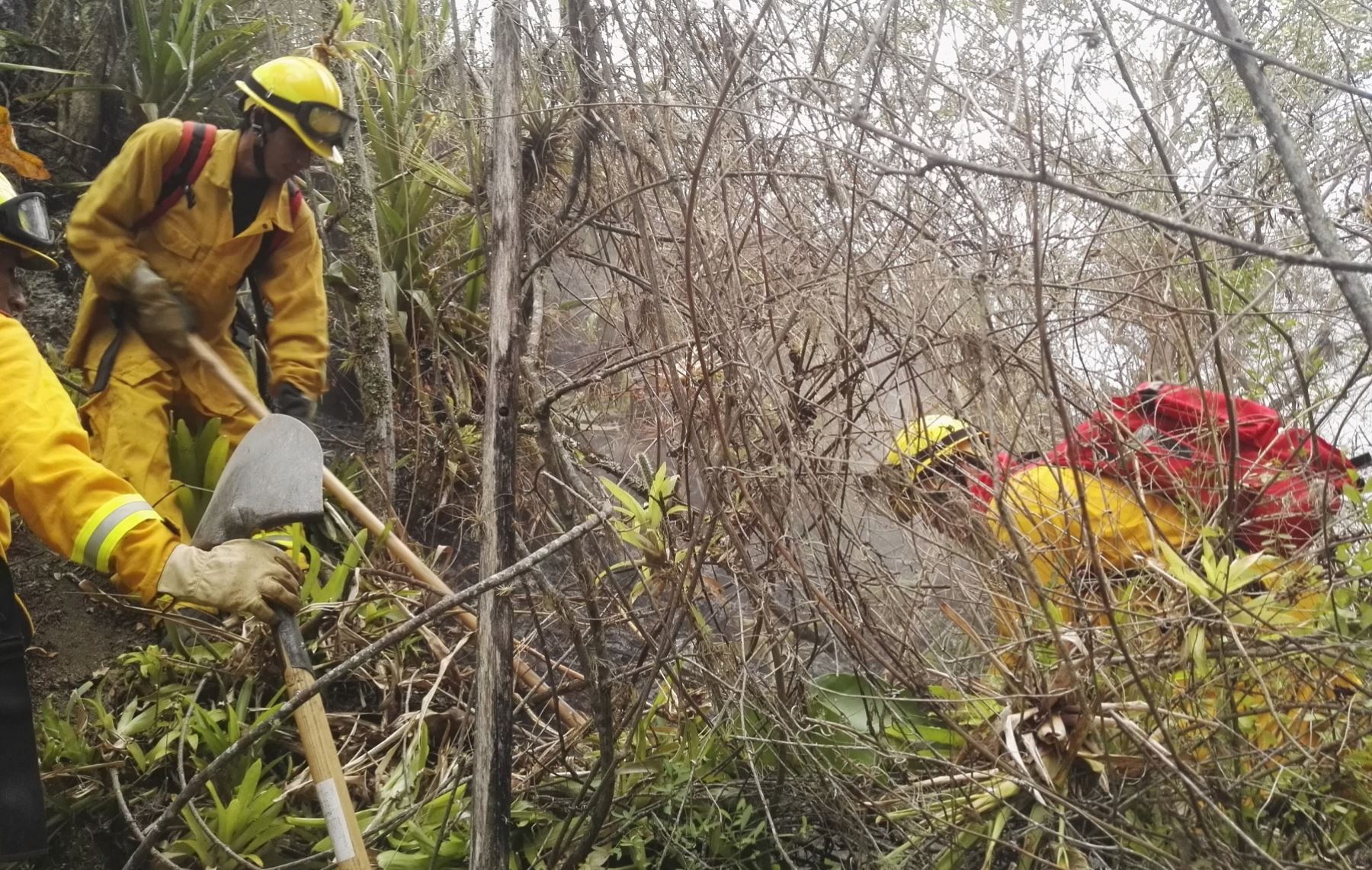 Bomberos forestales viajan a Chile para ayudar a sofocar incendios ...