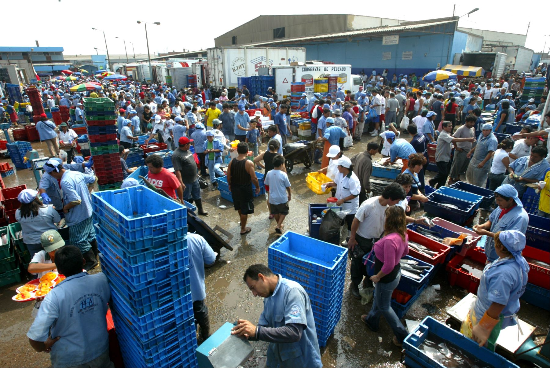 Hasta en 10% suben precios del pescado en Terminal Pesquero de ...