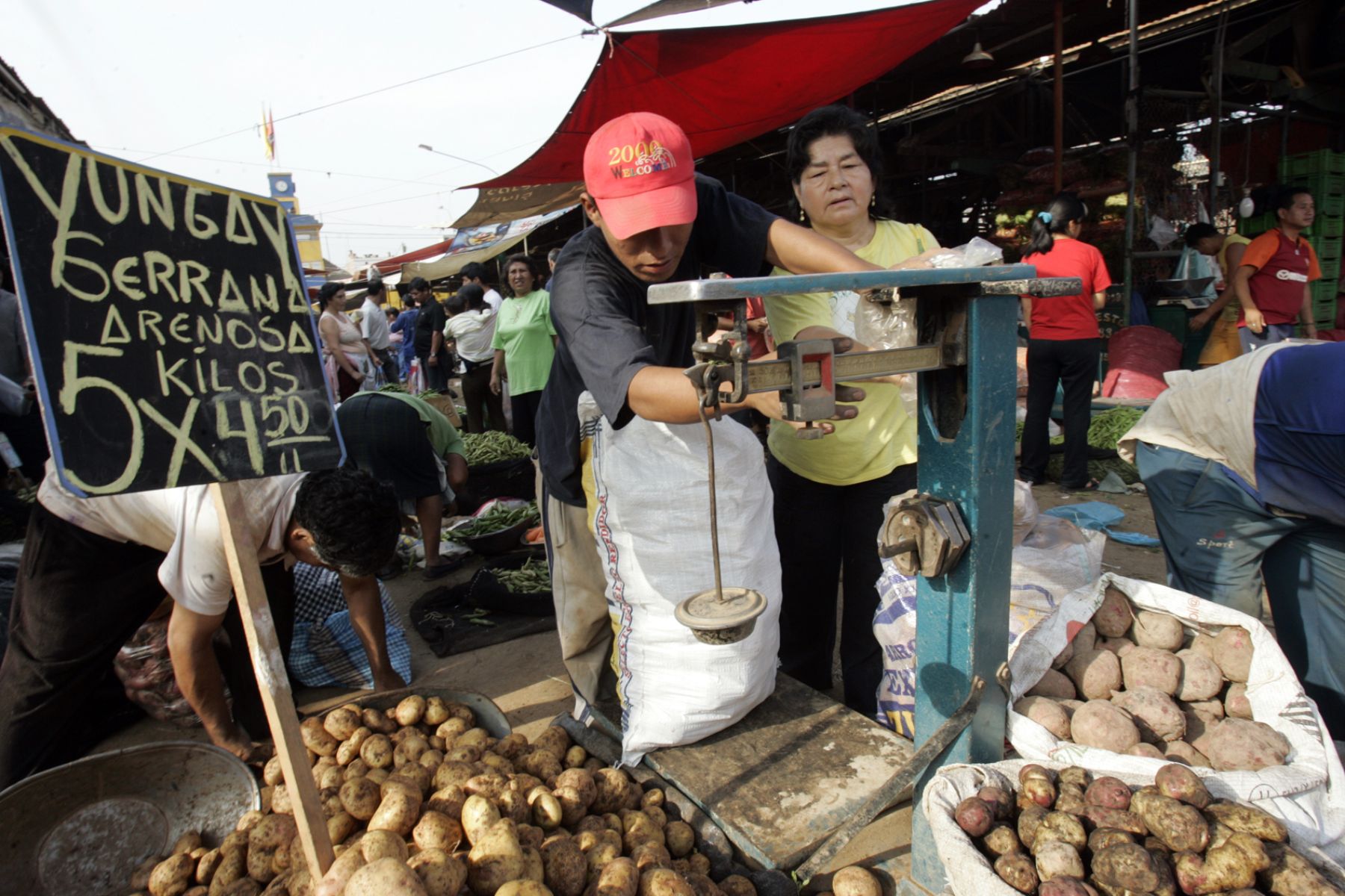 El olluco y la papa amarilla bajan relativamente de precio en La Parada ...
