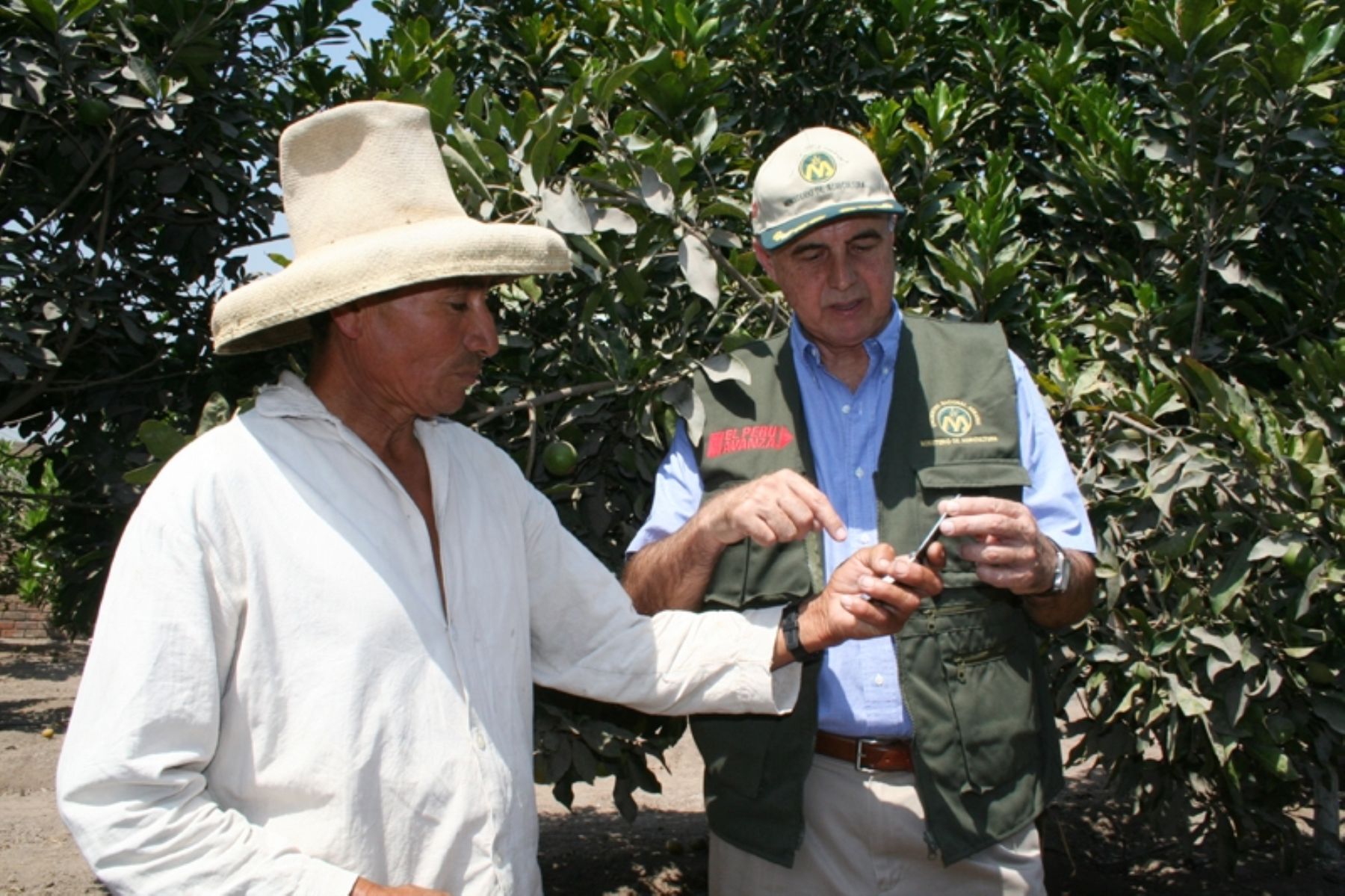 Ministerio De Agricultura Lanza Servicio De Consulta De Precios Por