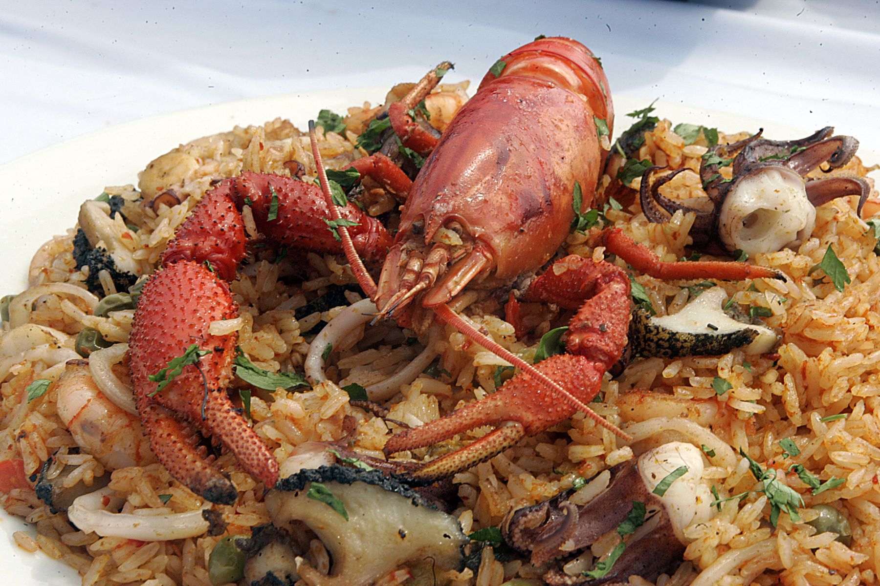 Camarón de río será la estrella de Festival Ecogourmet de Pachacámac ...