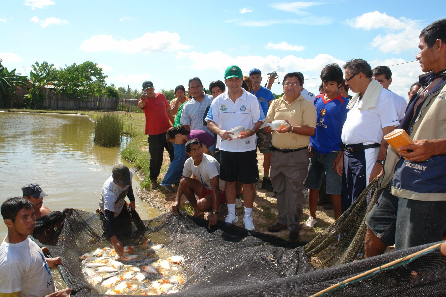 Región Ucayali ofrecerá 50 toneladas de peces amazónicos por Semana ...
