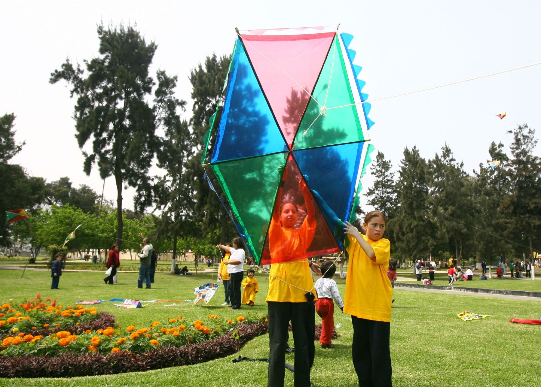 Realizarán mañana concurso familiar de cometas en Campo de Marte de ...