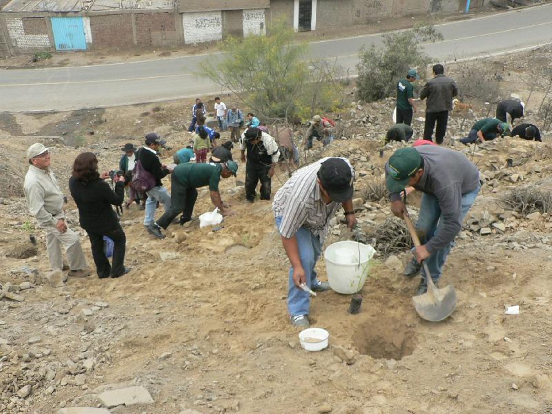 En Huaycán plantarán 300 mil árboles casa por casa | Noticias | Agencia ...