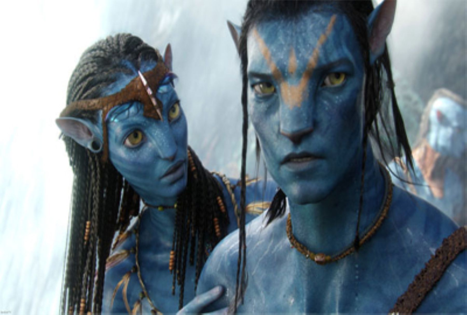 Pueblo indígena de la India pide apoyo a James Cameron director "Avatar ...