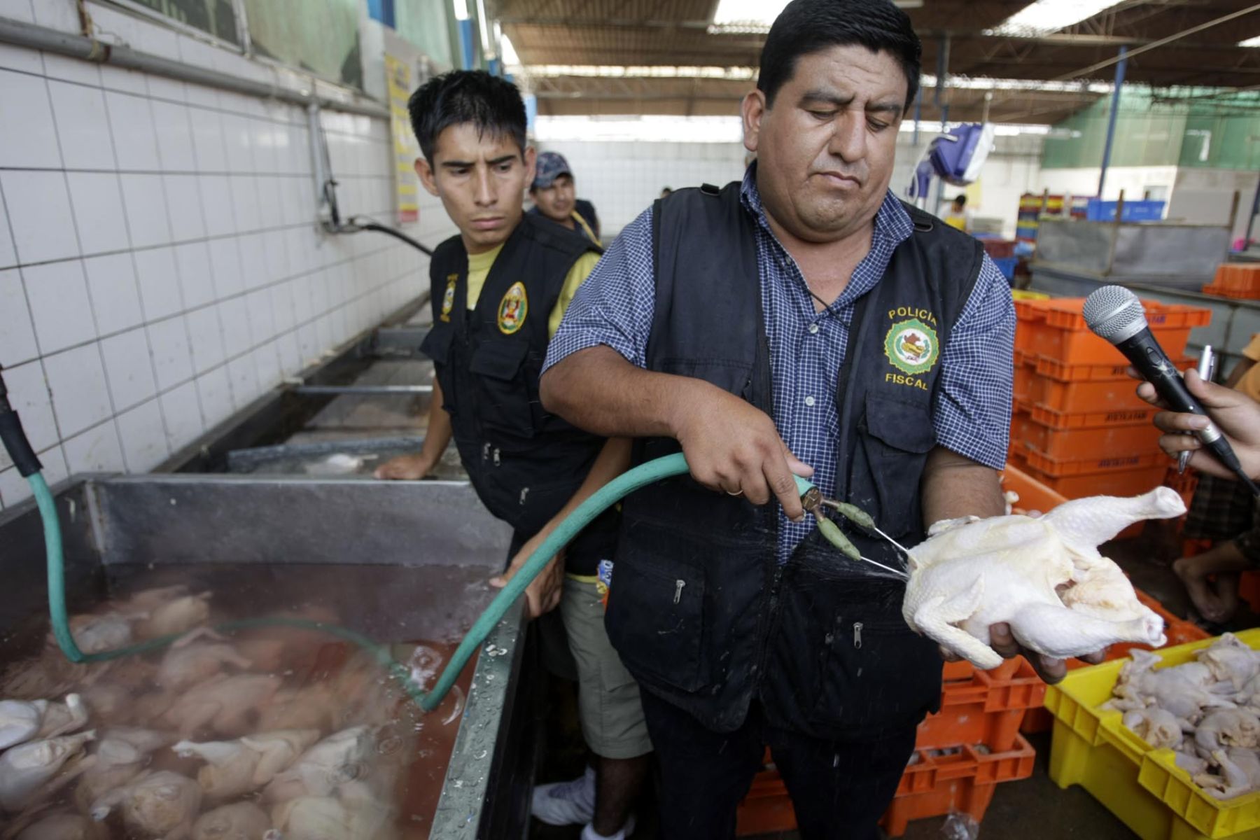 Intervienen local de Ate donde inflaban pollos con agua de pozo para ...