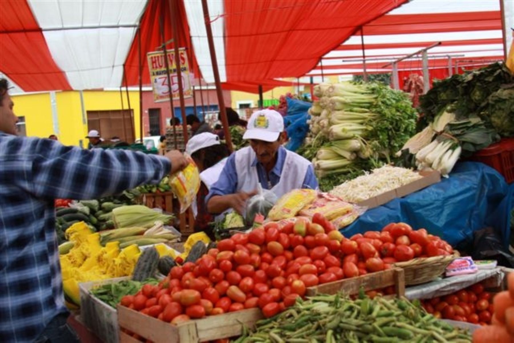 Peru pursues to become world's strategic food supplier | Noticias ...