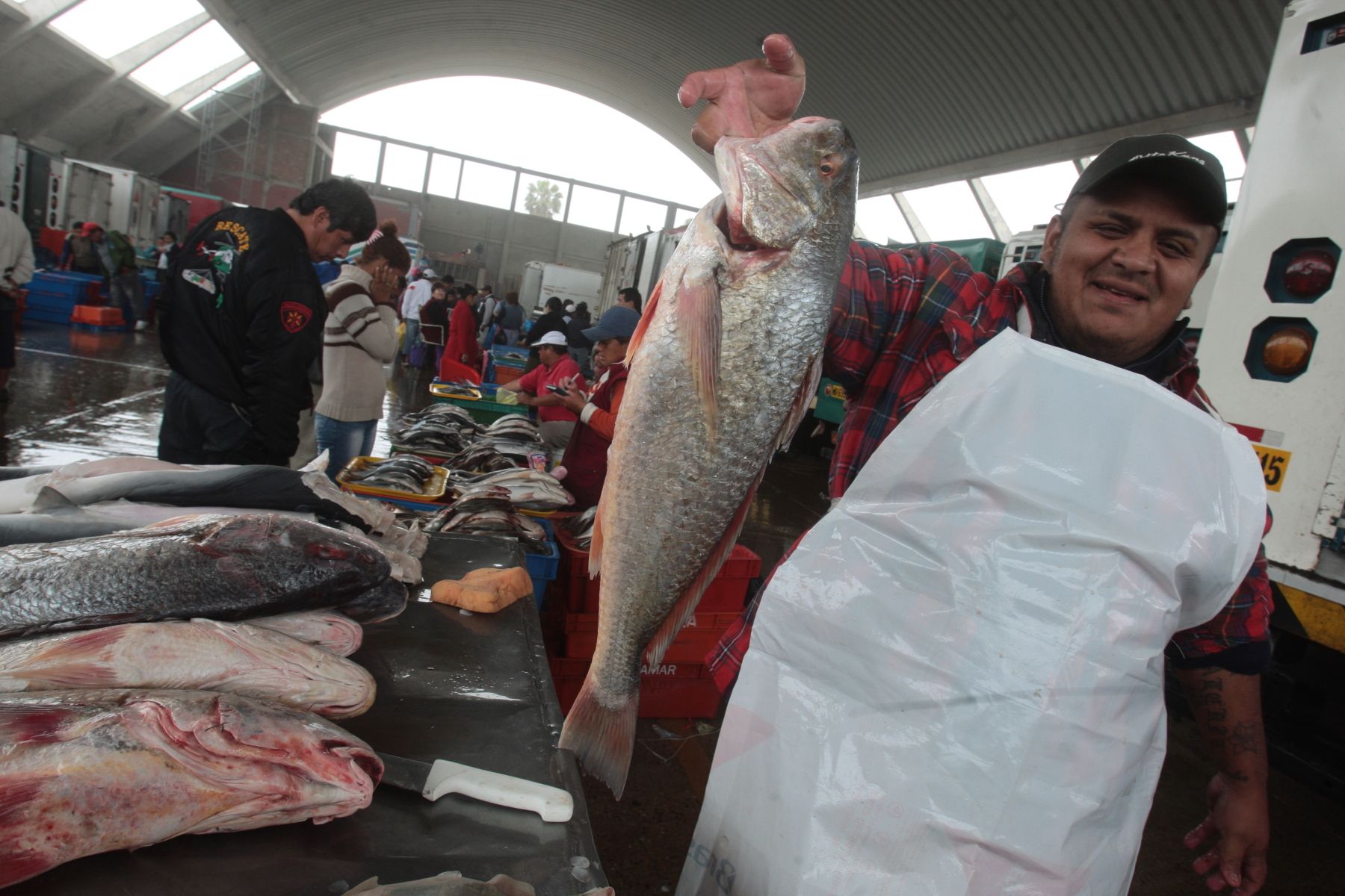 Iniciarán campaña en La Libertad para promover consumo de pescado ...