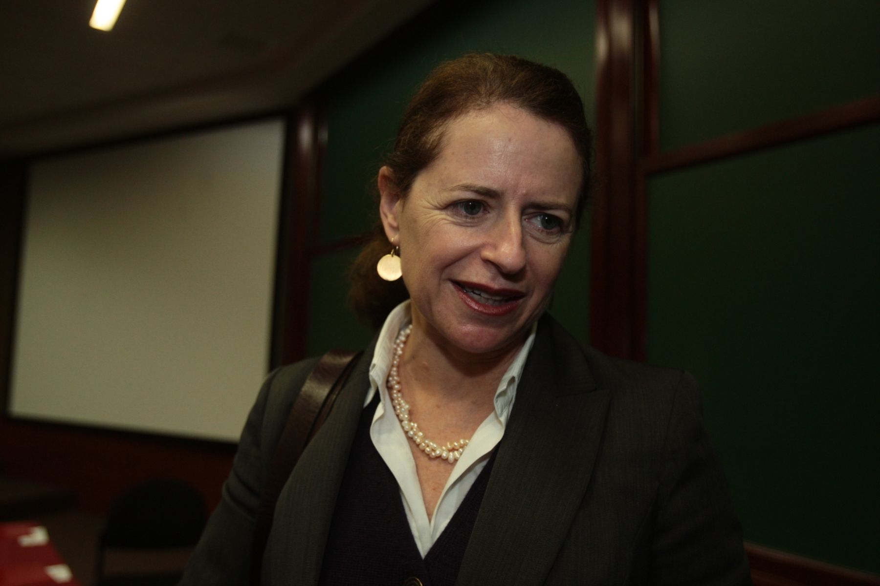 Banco Mundial anunciará en febrero nueva cartera de proyectos de ...