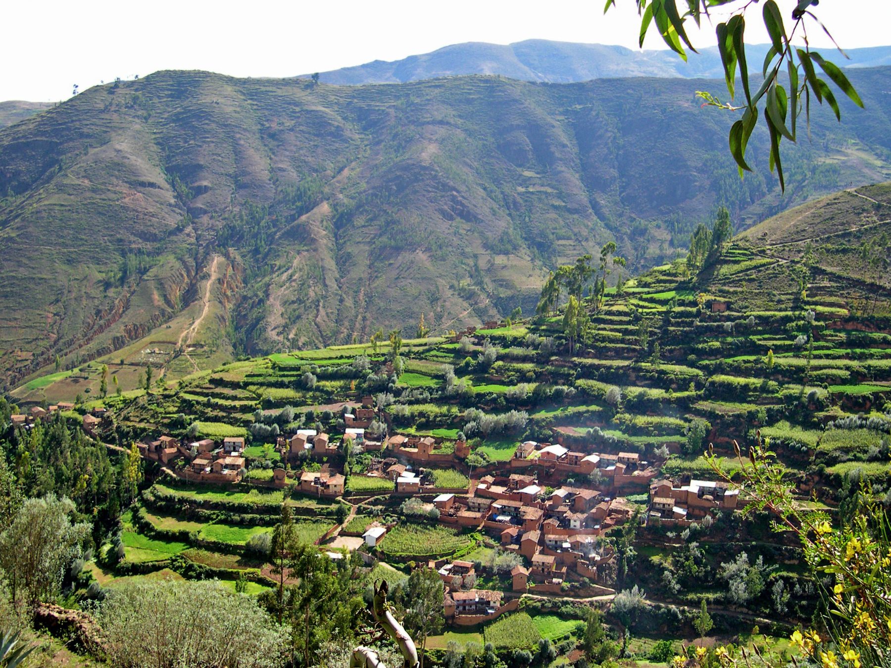 En marzo empieza inventario de andenes de Junín para su recuperación y ...