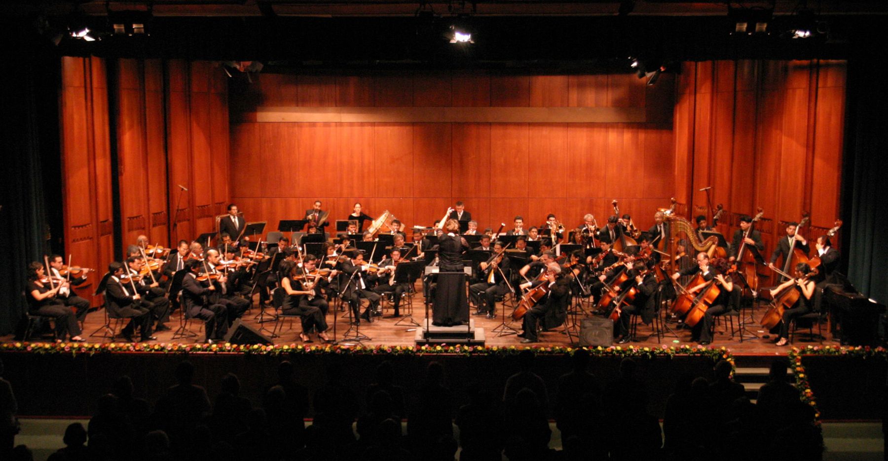 Orquesta Sinfónica Nacional interpretará pieza de Edgar Valcárcel ...