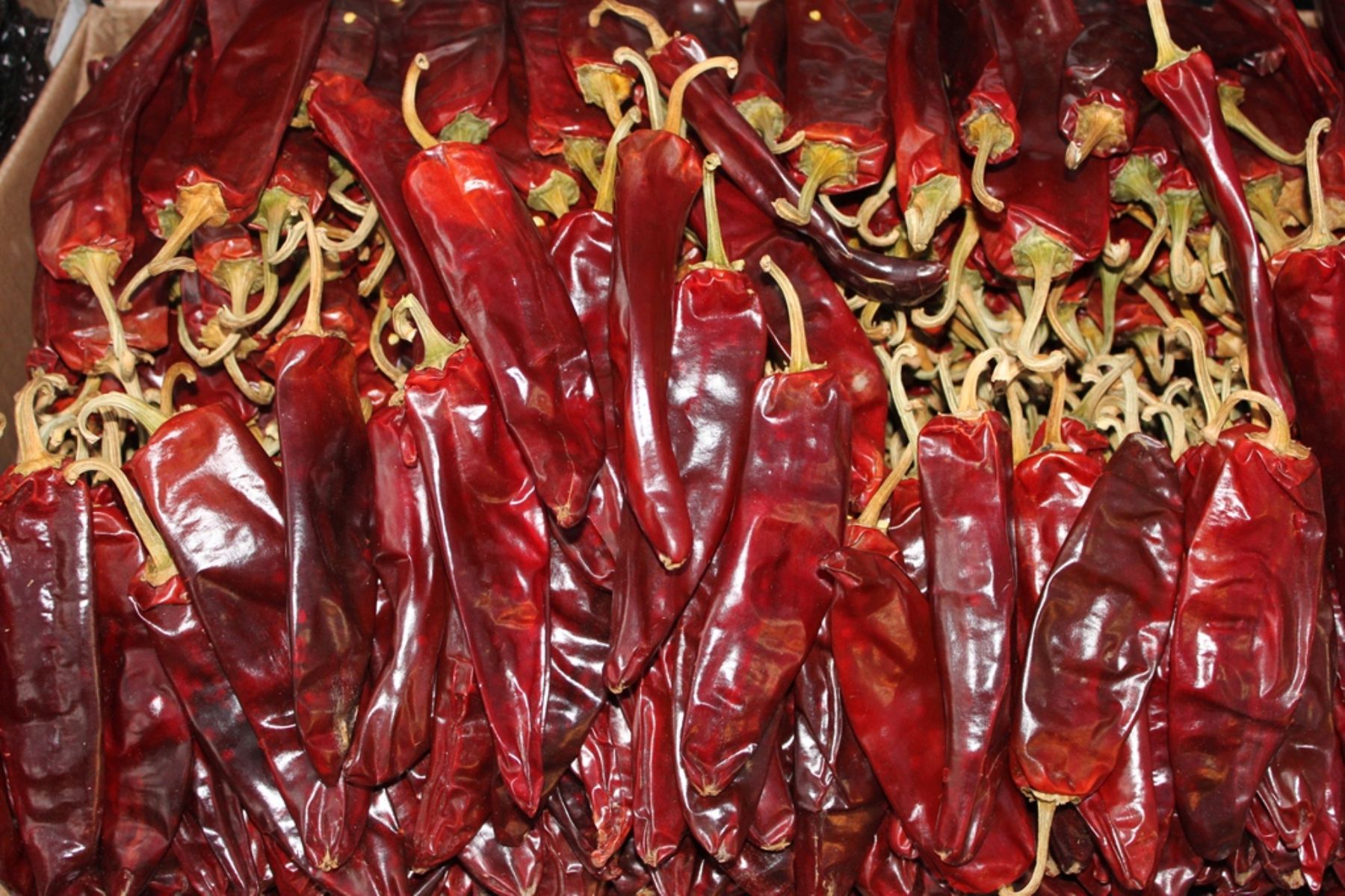 Mercado español interesado en comprar páprika de Arequipa | Noticias ...