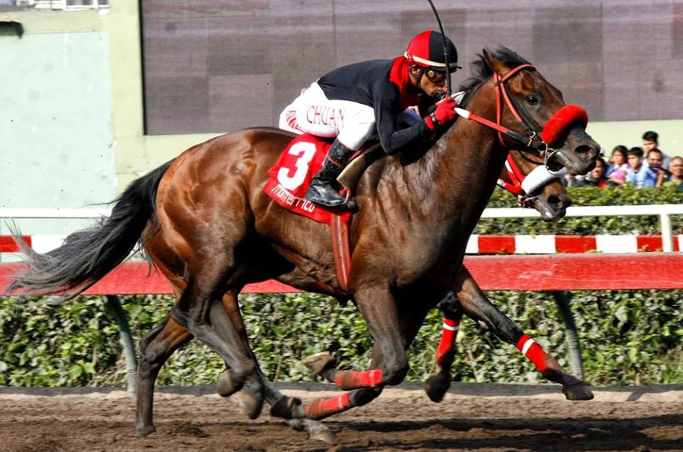 portal.andina.pe - /EDPfotografia3/Images/2017/08/25/