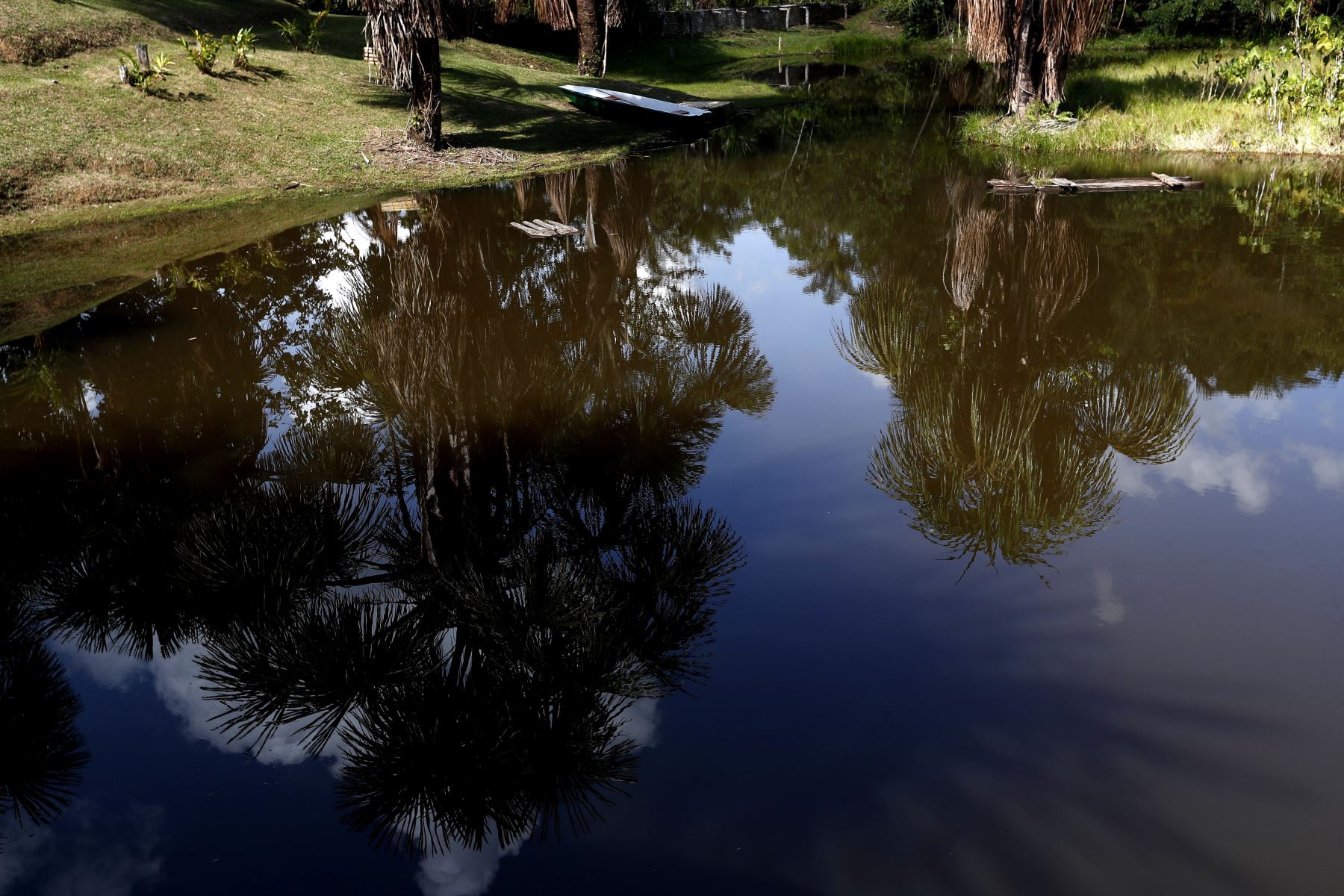 Reserva Nacional Pacaya Samiria: un bastión contra la deforestación ...