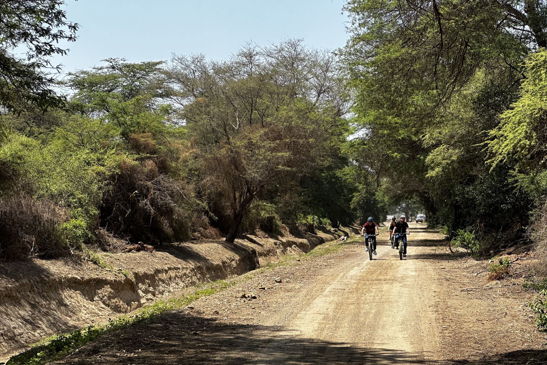 Lambayeque: historia y sabor reunidos en un solo destino| Galería ...