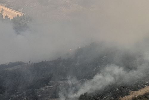 Intensifican acciones para sofocar incendios forestales que se ...