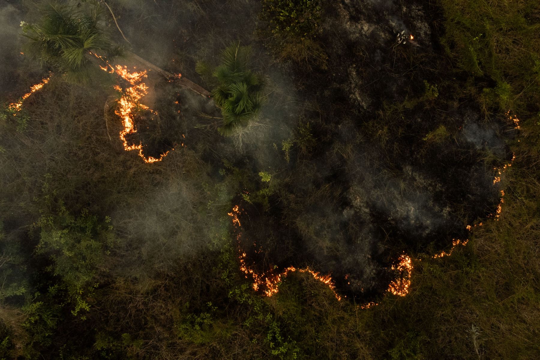 Humo de los fuegos en la Amazonía alcanza grandes ciudades de Brasil y ...
