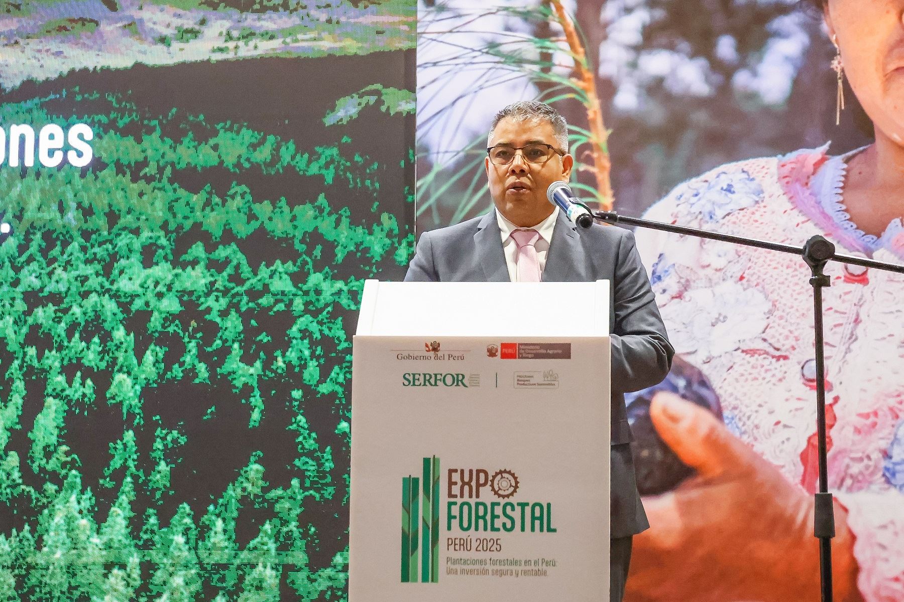 Perú presenta casi 11 millones de hectáreas con potencial forestal e ...