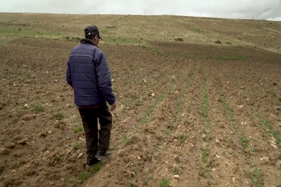 Sequía Helada Y Cambio Climático Ponen En Jaque El Altiplano De