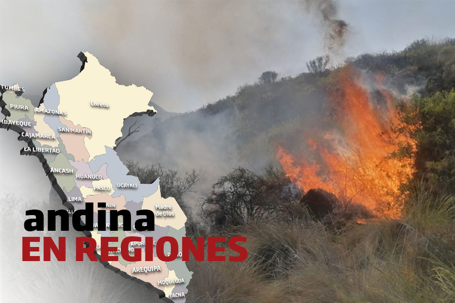 Andina en Regiones: 200 hectáreas afectadas por incendio forestal en ...